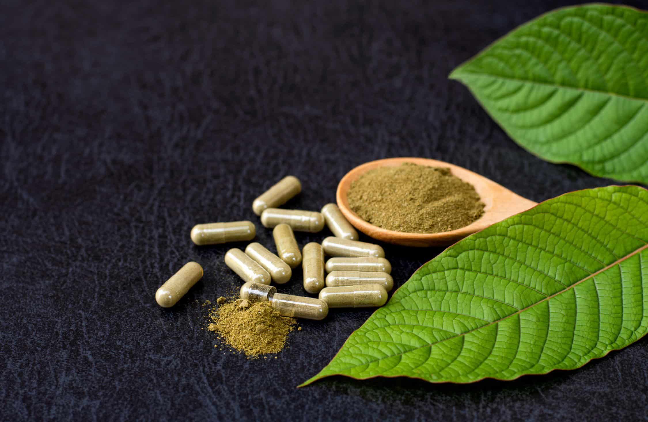 What to Expect in Kratom Rehab: A Step-by-Step Guide to Healing